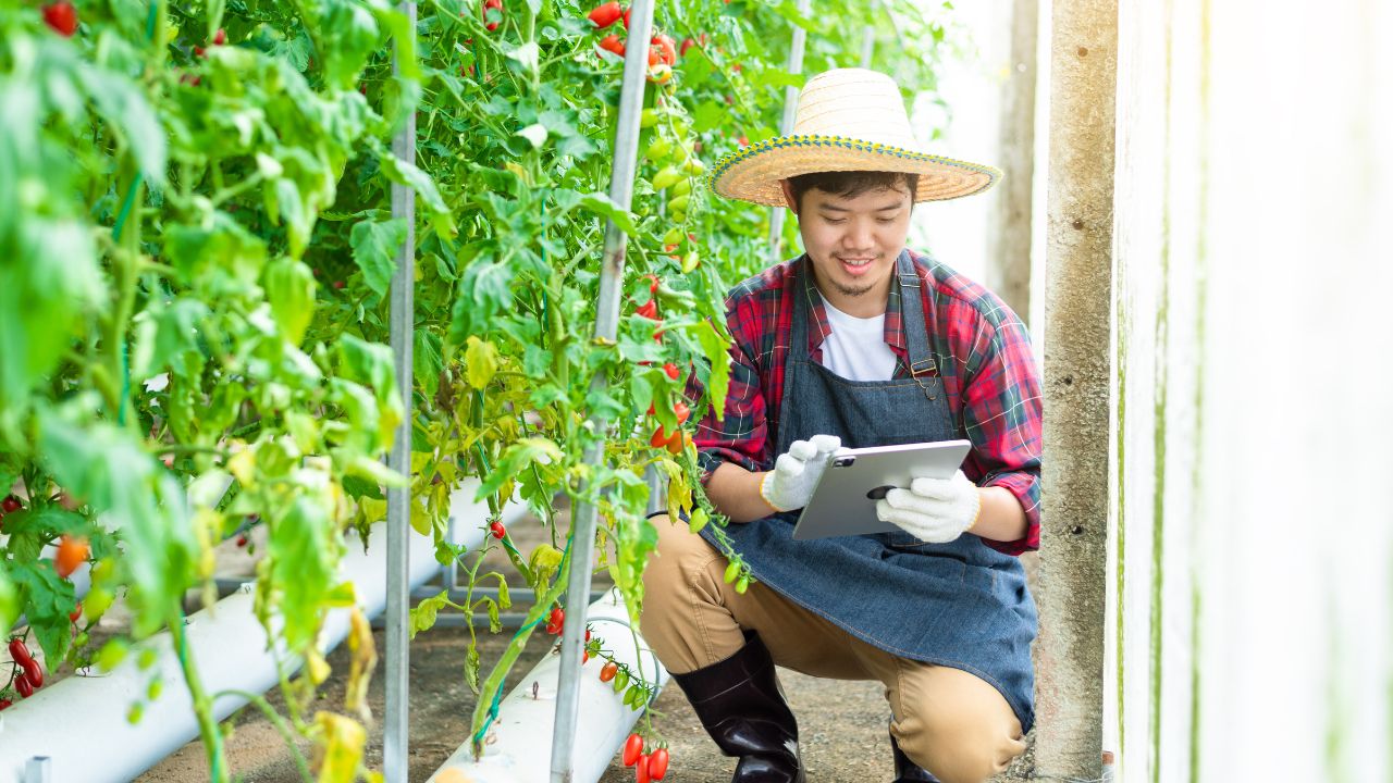 How Field Visits Enhance Education Beyond Classrooms - Go Edu Blogs