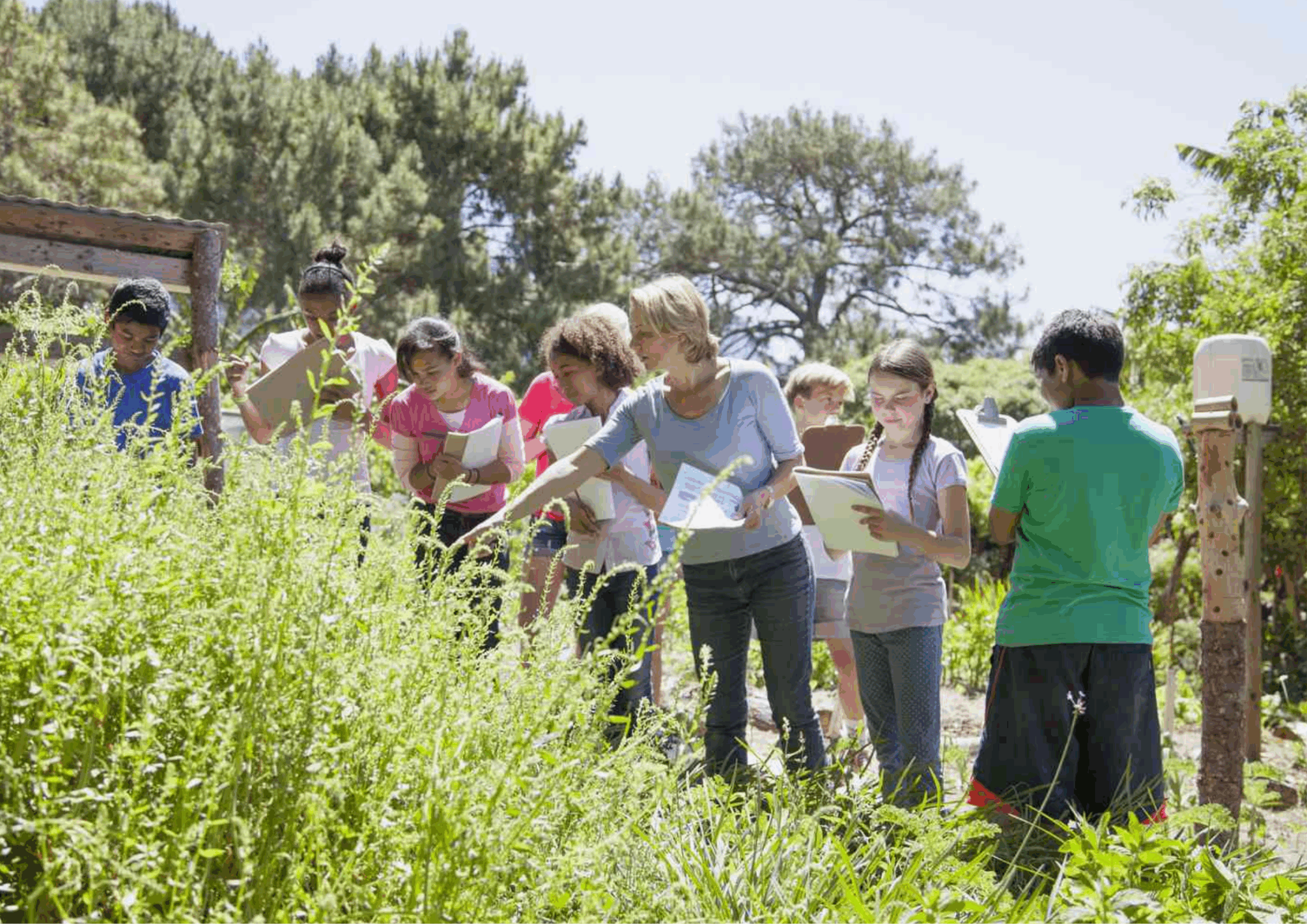 Field Visits: Unlocking Curiosity for Inspiring Learning