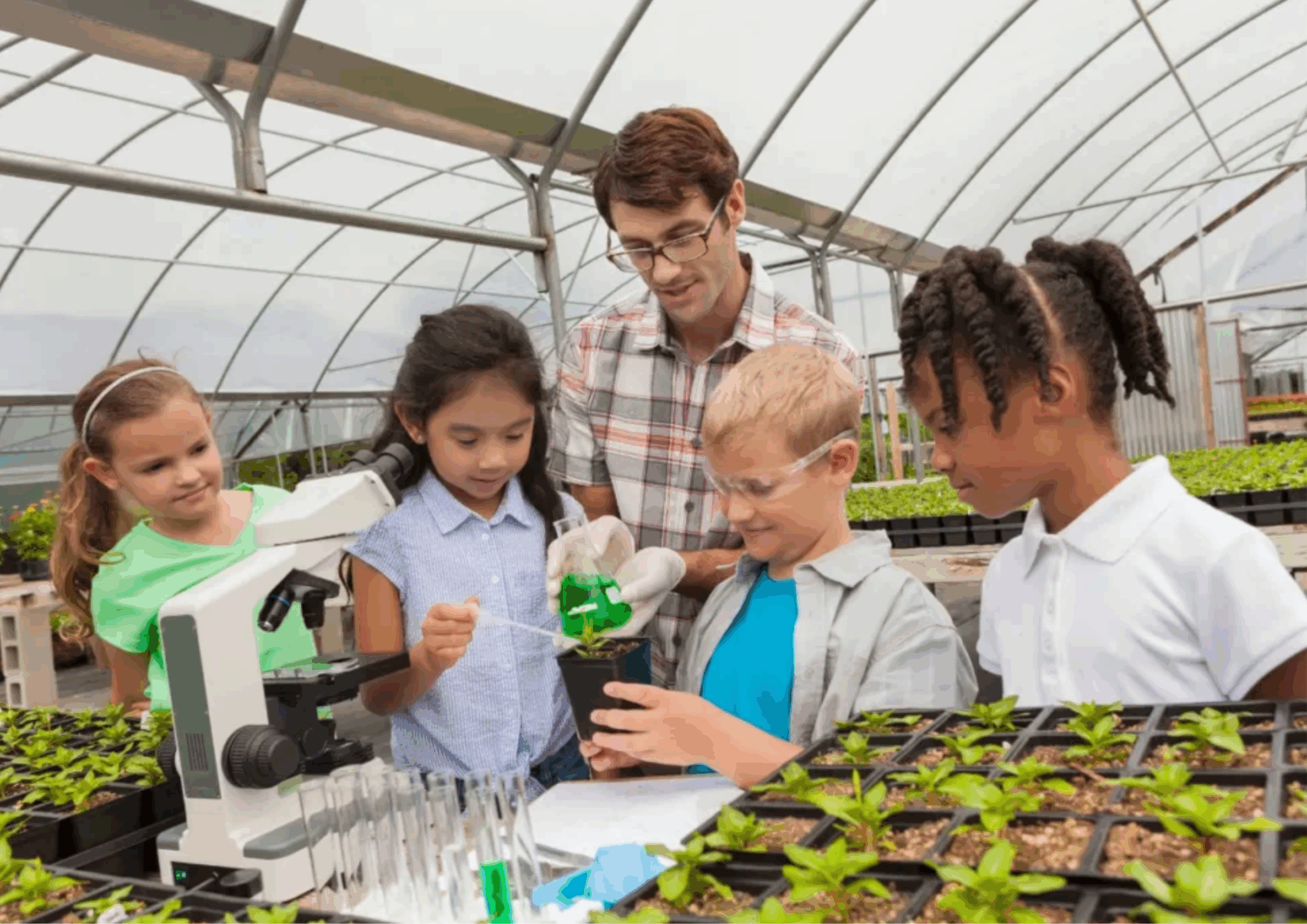 Field Visits: Unlocking Curiosity for Inspiring Learning