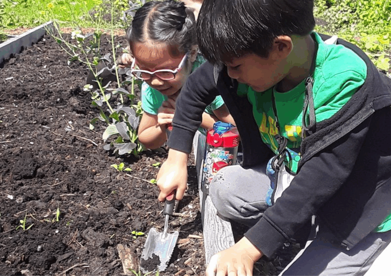 Field Visits: Unlocking Curiosity for Inspiring Learning
