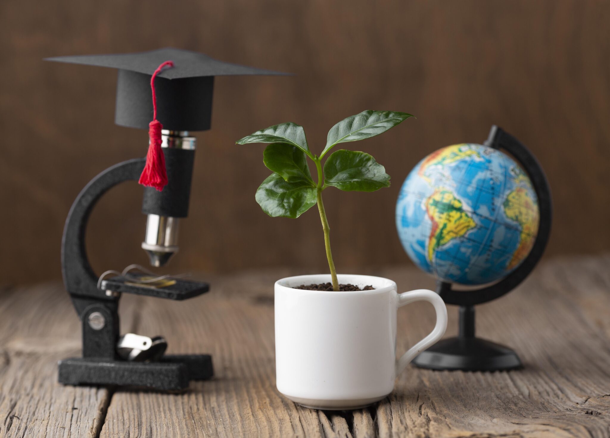 Environmental Awareness: Importance & Student Actions